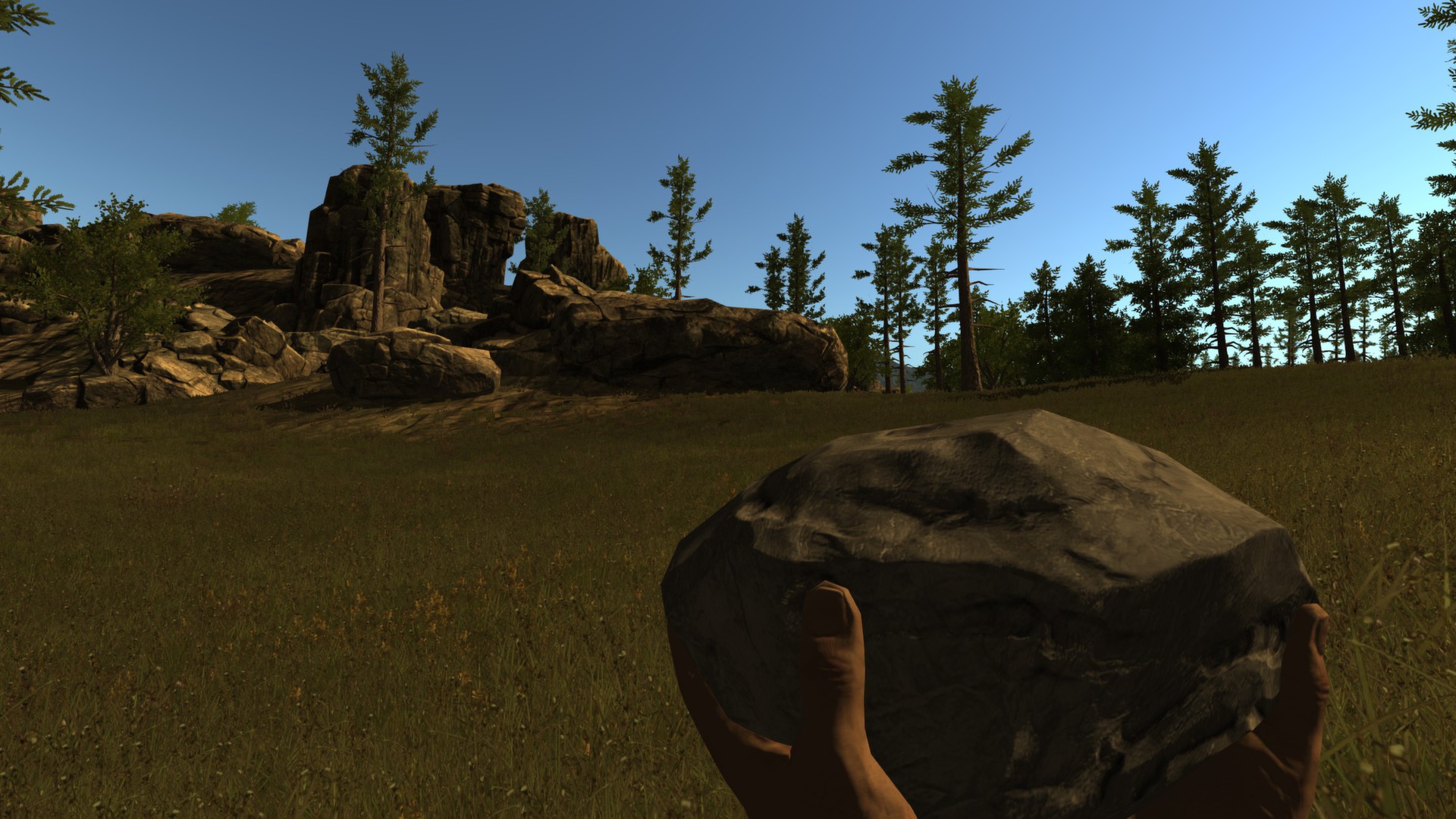 Koop Rust PC spel | Steam Download